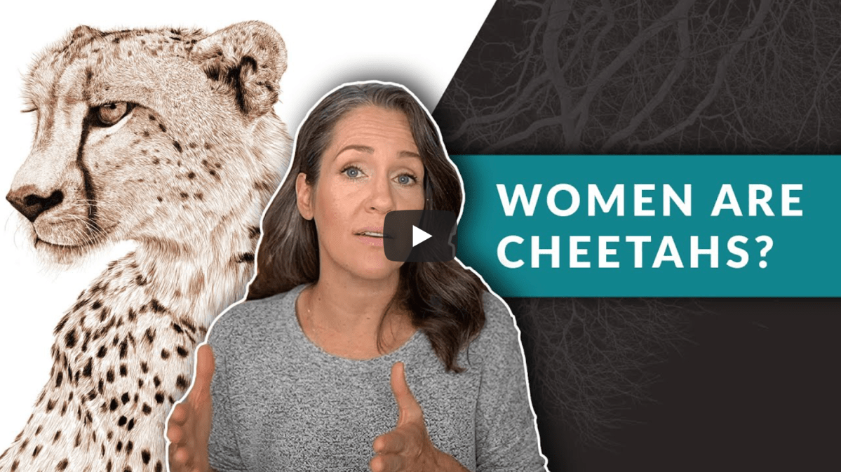 Glennon Doyle and the Idol of Self | Alisa Childers – A Light to Follow