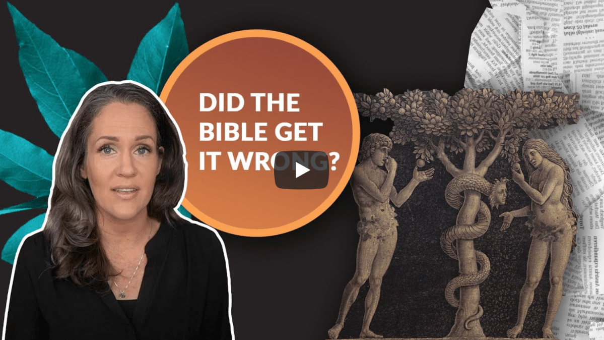 Do The Creation Stories In Genesis 1 And 2 Contradict Each Other